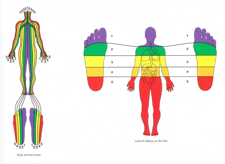Free Reflexology Charts, Points for Specific Ailments